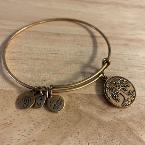 Alex and Ani | Jewelry | Alex And Ani Tree Of Life Bangle | Poshmark